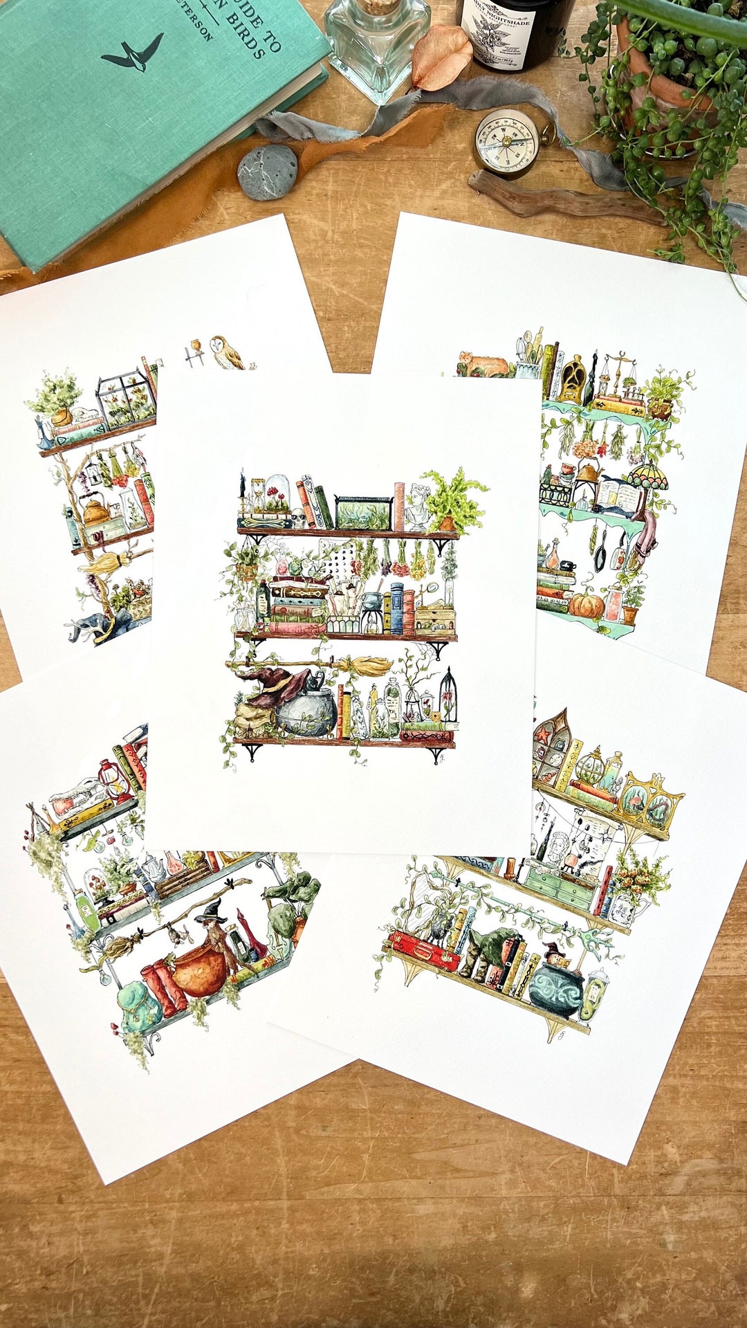 The Witches Shelves Giclée Print Bundle, Vol. 1 - Etsy