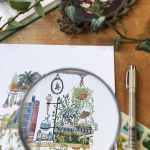 The Botanist's Shelves Giclée Print - 8x10" - Etsy