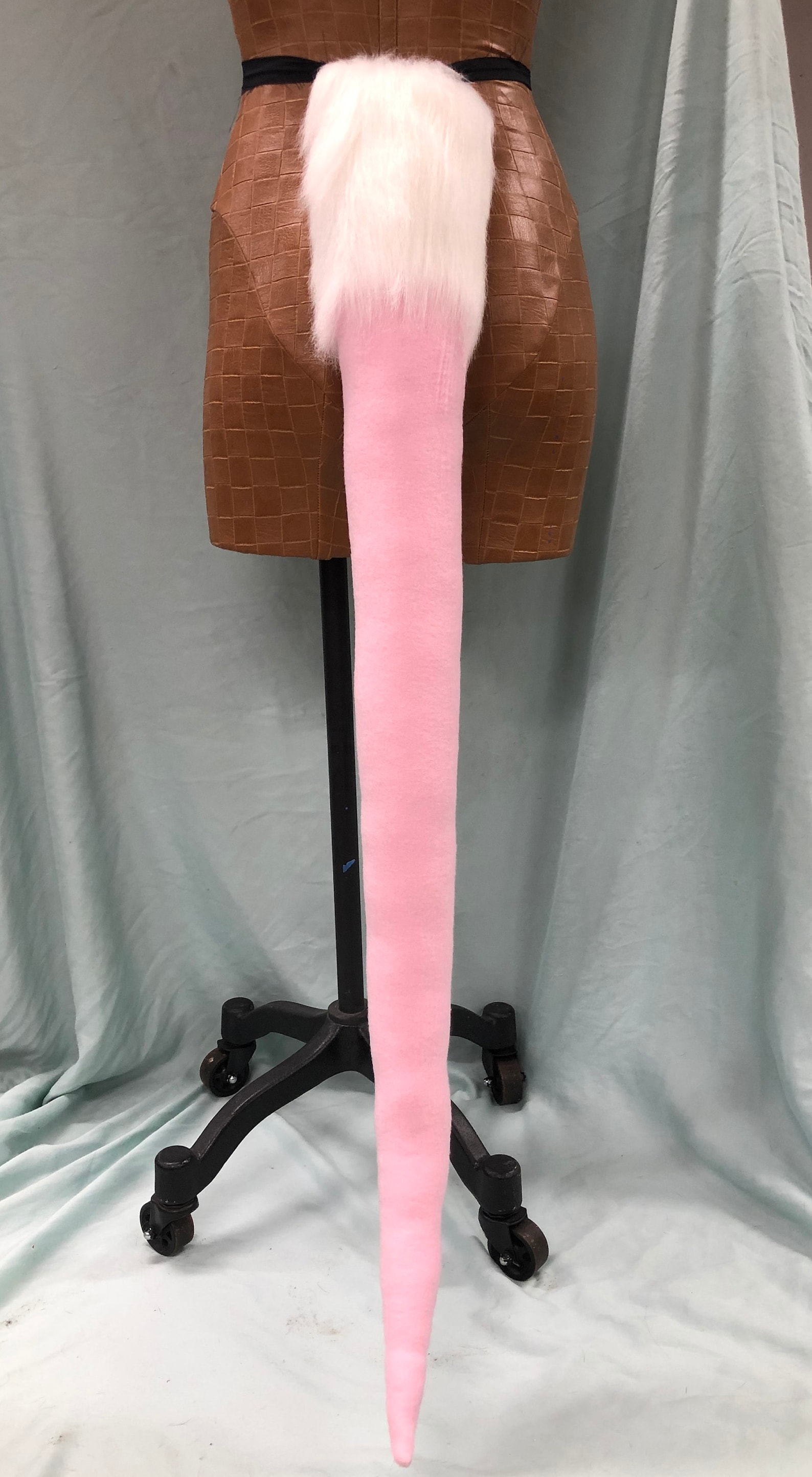 Opossum and Rat/mouse Tail - Etsy