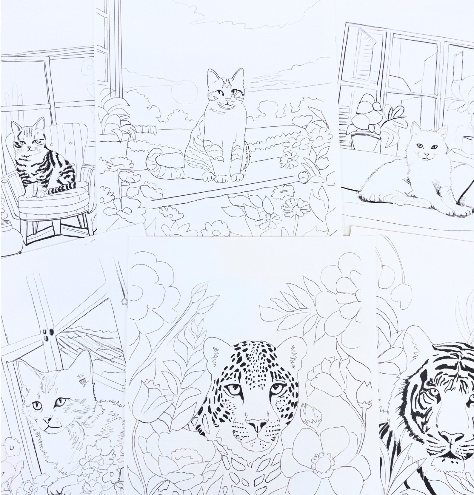 Cats Watercolor Painting Kit, DYI Adult Paint Kit ,activity for Kids ...