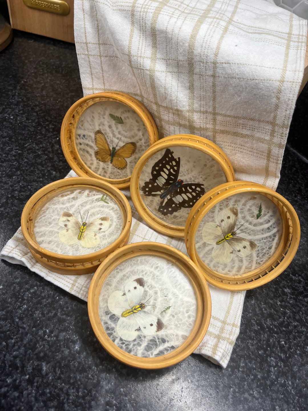 Pressed Butterfly Coasters - Etsy