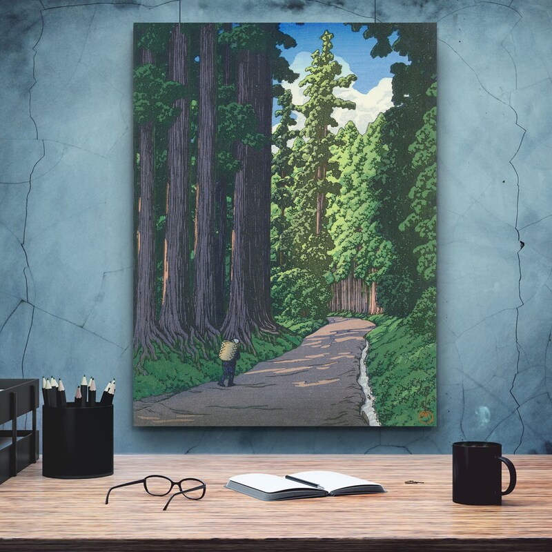 Japanese Cedar Tree - Etsy