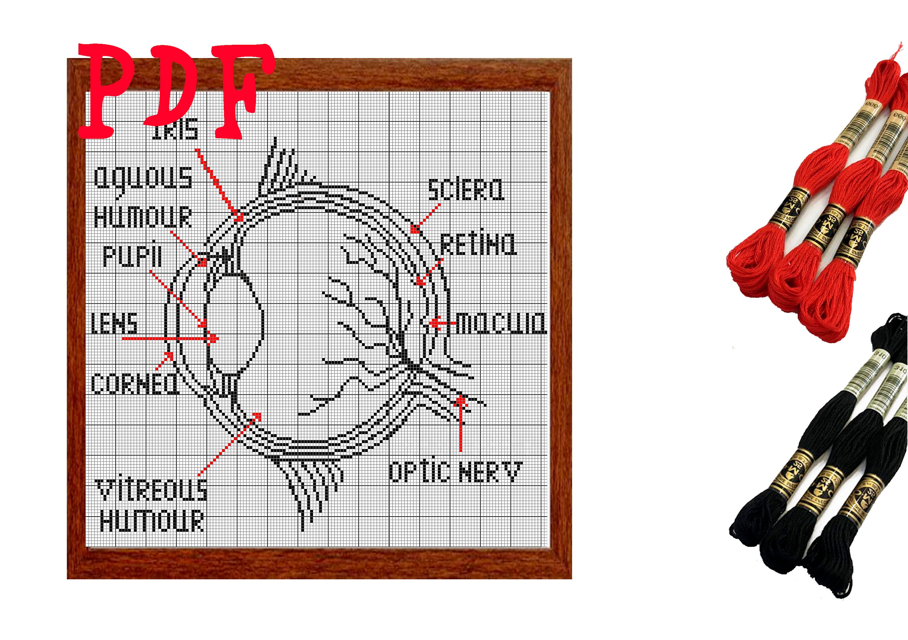 CUSTOM Cross Stitch Pattern With Anatomical Drawing Eye - Etsy