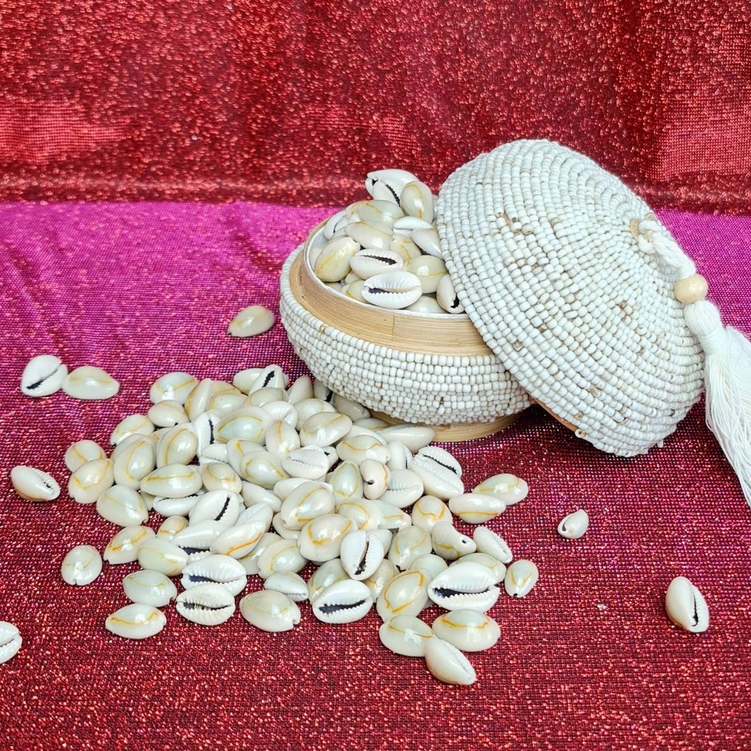 Cowrie Shells for Divination, Money Magic, Orisha and Deity Worship ...