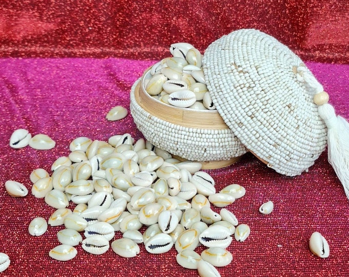 Cowrie Shells for Divination Money Magic Orisha and Deity - Etsy