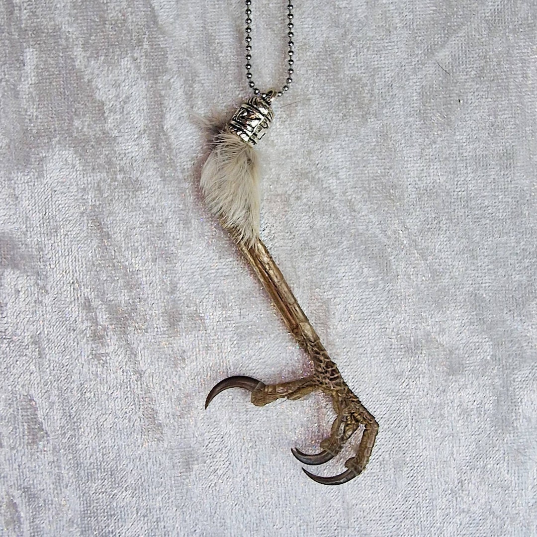 Preserved Corvid Foot Charm for Protection, Spiritual Communication and ...