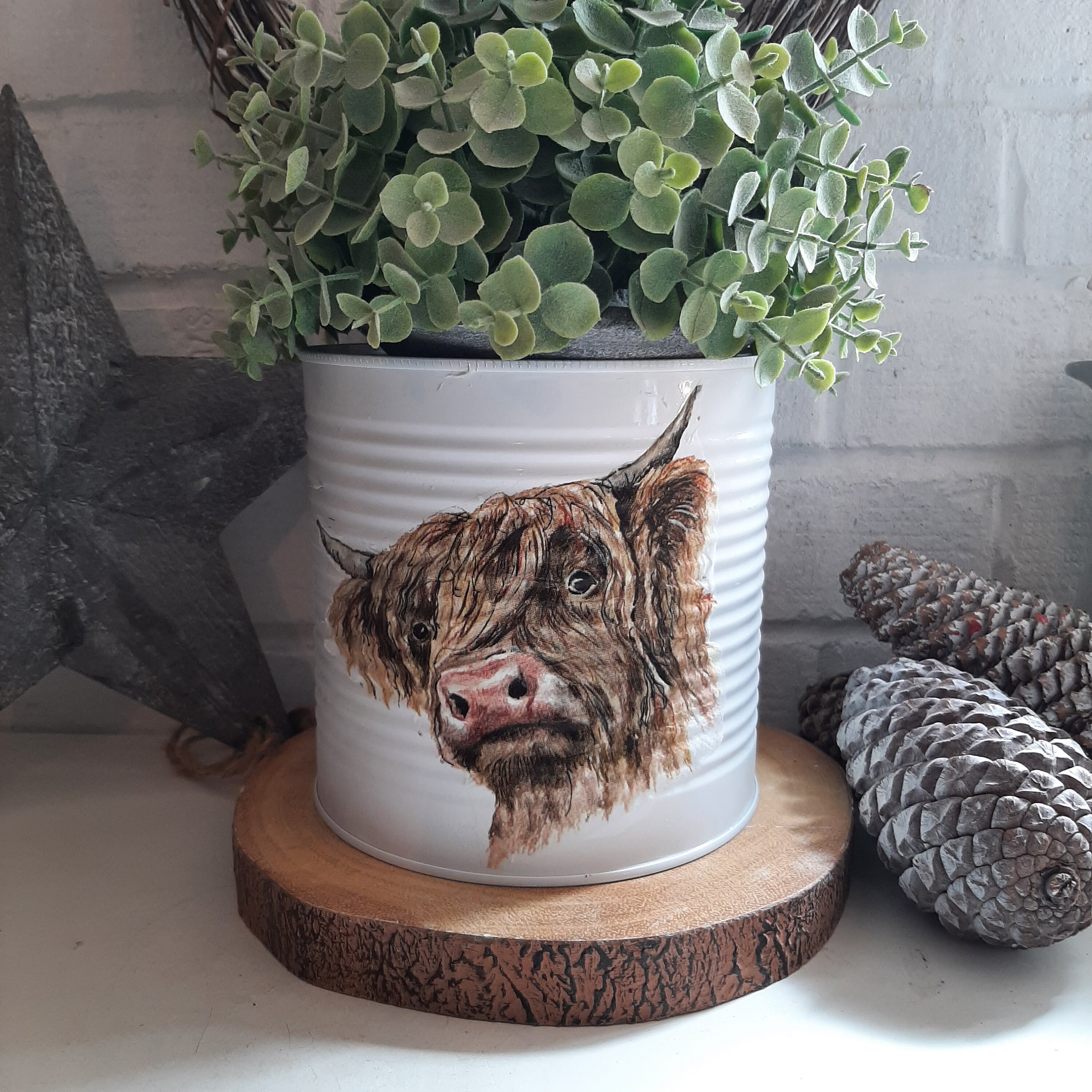 Rustic Highland Cow Tin Pot. Plant Pot. Container. Utensil | Etsy