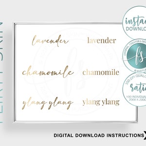 100 Essential Oils Overlays | PNG | Social Media | Clip Art ...