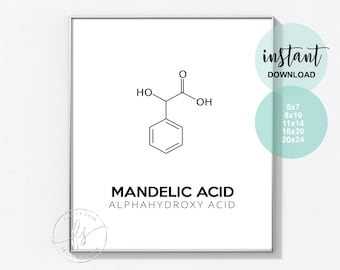 Lactic Acid Esthetician Decor Spa Quote Salon Quote | Etsy