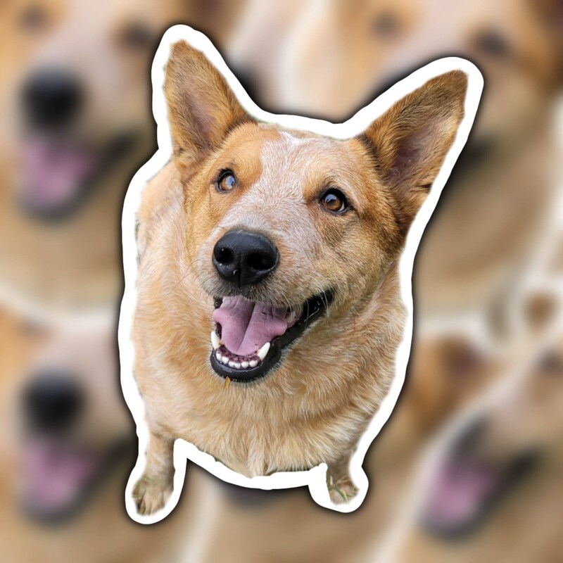 Red Heeler - Etsy