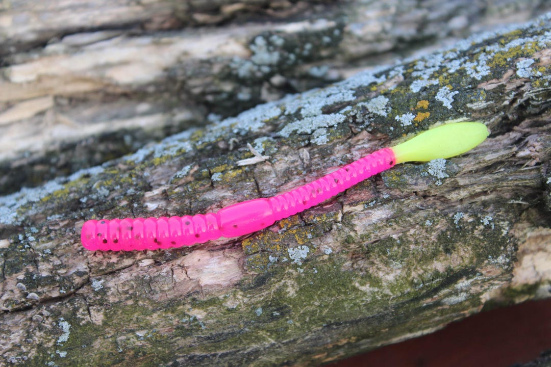 10 Pk. Pink & Chartreuse Wyandotte Worms - Etsy