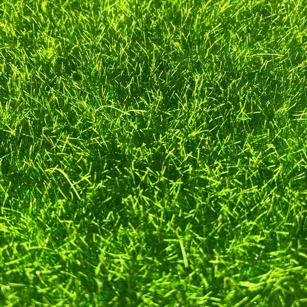Fake Grass Miniature - Etsy