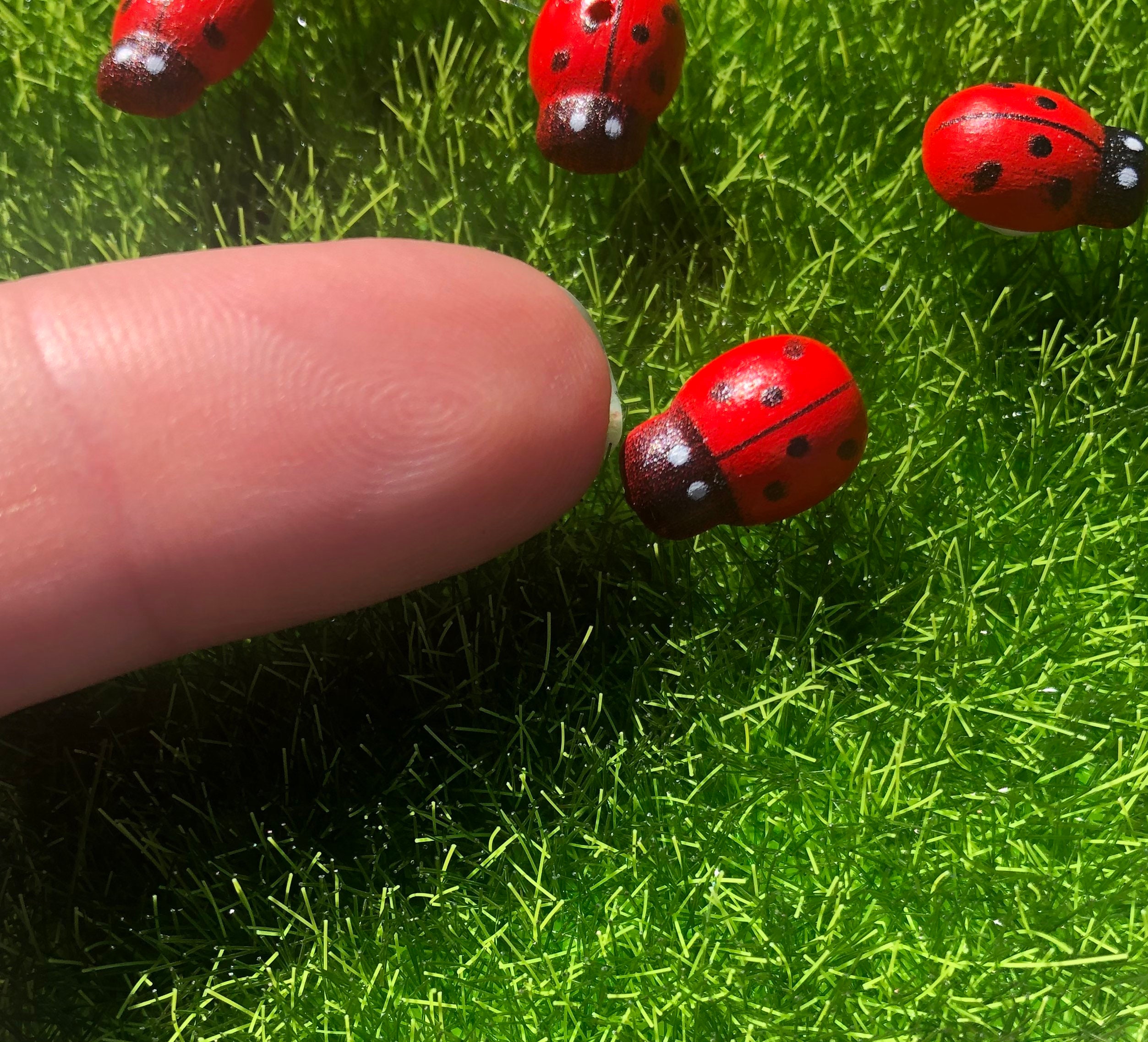 Fairy Garden Miniature Ladybug Fairy Garden Accessories Tiny - Etsy