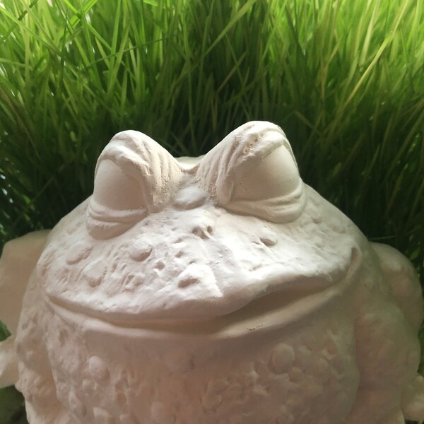 Pottery Toad - Etsy