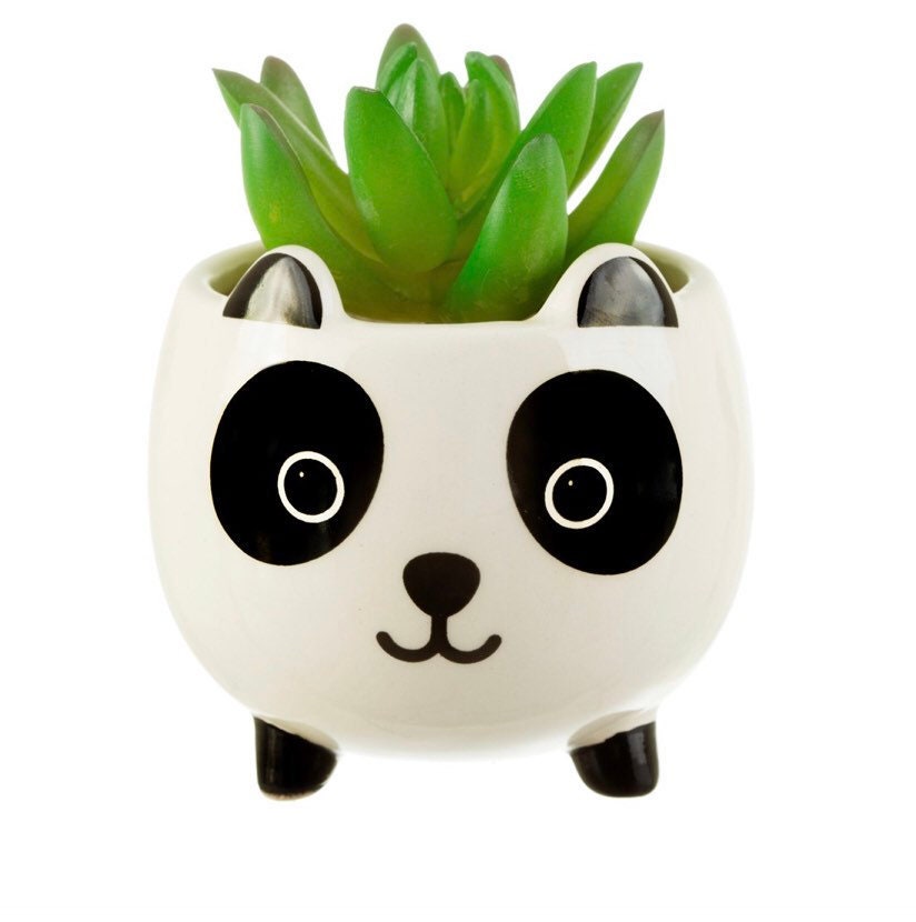 DIY Panda Planter Pinch Pot Craft Kit - Etsy