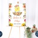 Chick Welcome Sign Template, Printable Chick Party Decor, Chick Baby ...