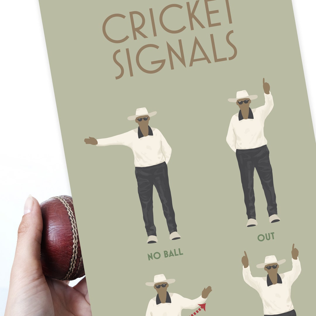 Cricket Signals a Guide to the Umpiring Signals and What They - Etsy
