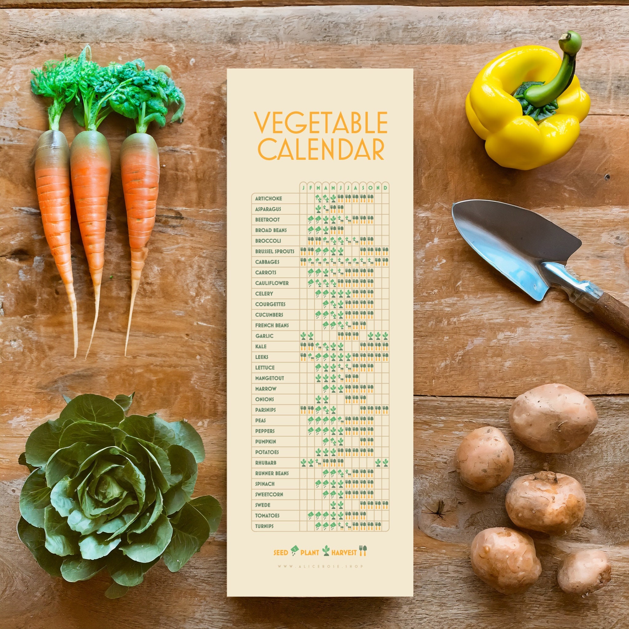 Vegetable Calendar - Etsy