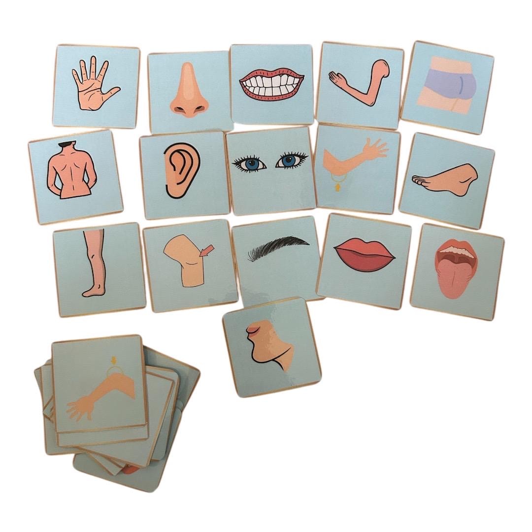 Memory parts of the Human Body - Etsy