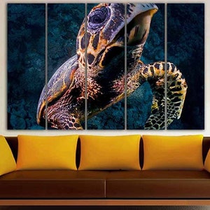 Turtle Art Print Split Canvas Turtle Canvas Set Turtle Wall - Etsy