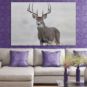Stag Deer Wall Decor Stag Print Animal Decor Deer Canvas Deer Print ...