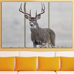 Stag Deer Wall Decor Stag Print Animal Decor Deer Canvas Deer Print ...
