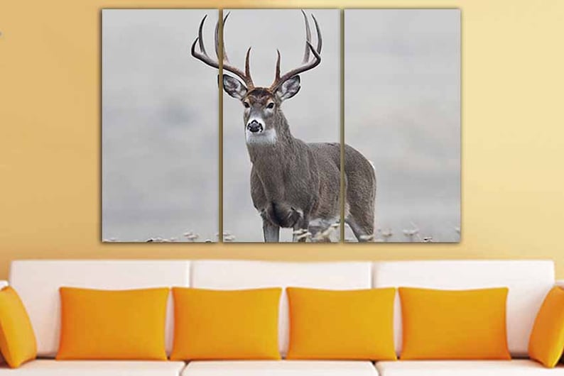 Stag Deer wall decor Stag print Animal decor Deer canvas Deer | Etsy
