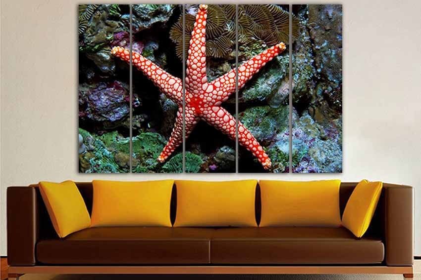 Starfish Print Starfish Canvas Starfish Wall Art Fish Decor - Etsy UK