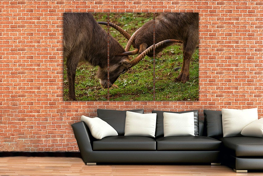 Wild Goat Art Print Goat Canvas Set Mountain Goat Animal Decor - Etsy