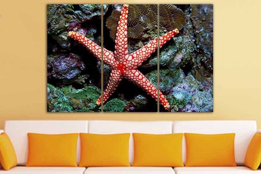 Starfish Print Starfish Canvas Starfish Wall Art Fish Decor - Etsy UK