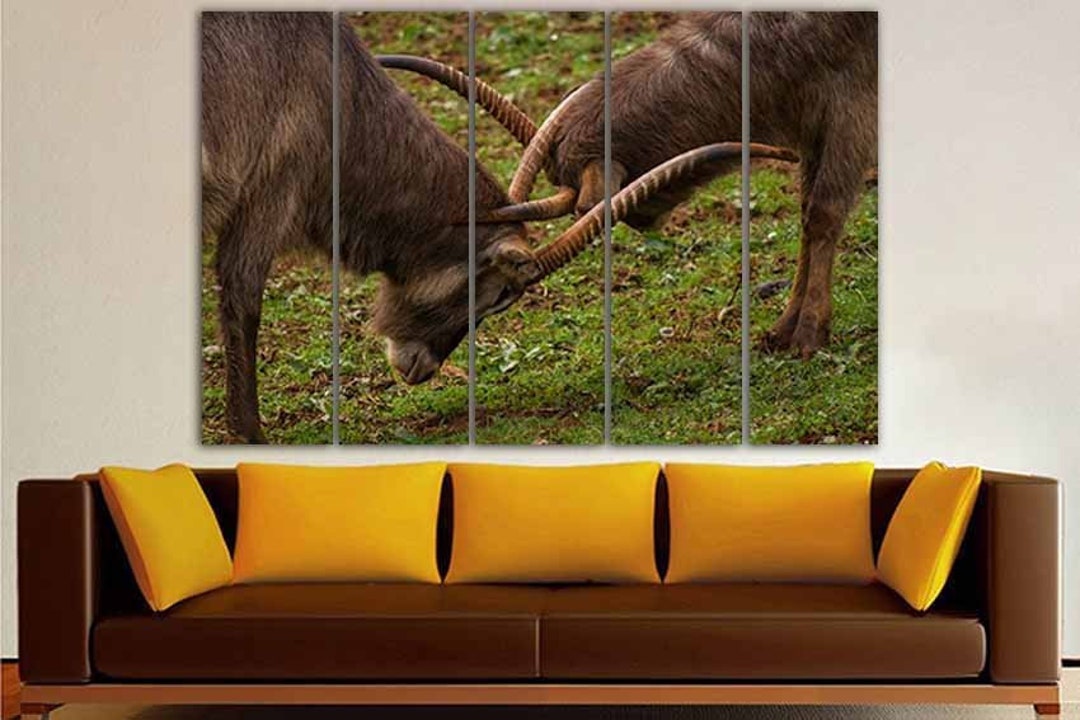 Wild Goat Art Print Goat Canvas Set Mountain Goat Animal Decor Animal ...