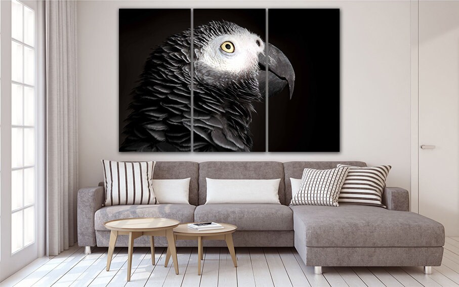 Grey Parrot Gallery Wall Set Parrot Print Parrot Canvas Parrot - Etsy