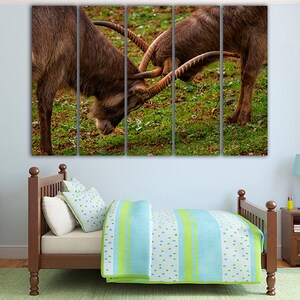 Wild Goat Art Print Goat Canvas Set Mountain Goat Animal Decor Animal ...