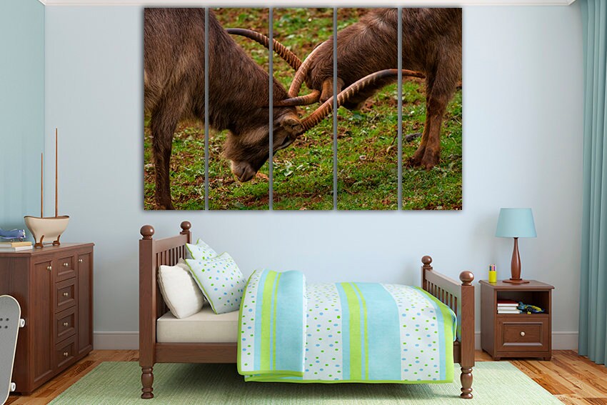 Wild Goat Art Print Goat Canvas Set Mountain Goat Animal Decor - Etsy