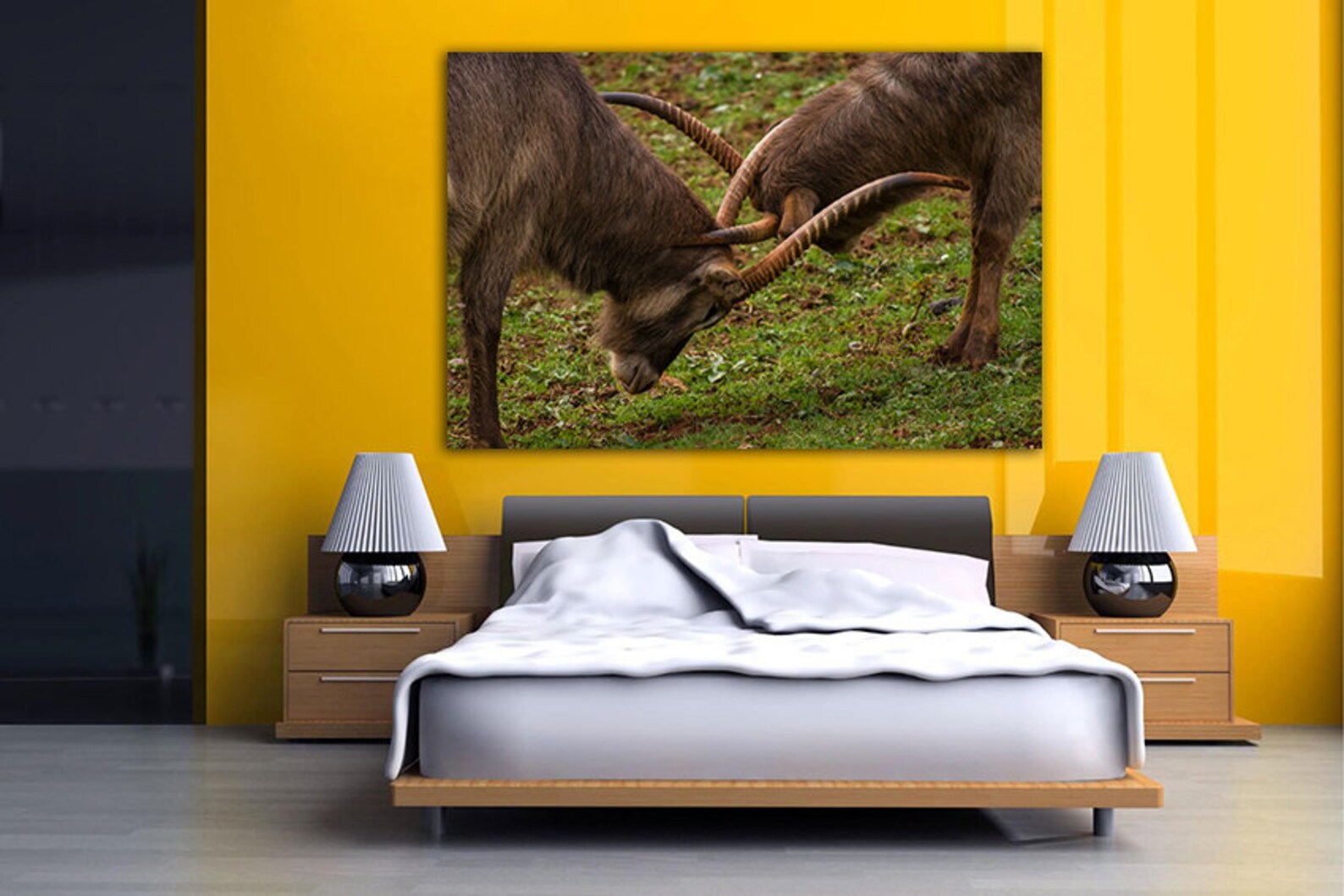 Wild Goat Art Print Goat Canvas Set Mountain Goat Animal Decor - Etsy