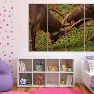 Wild Goat Art Print Goat Canvas Set Mountain Goat Animal Decor Animal ...