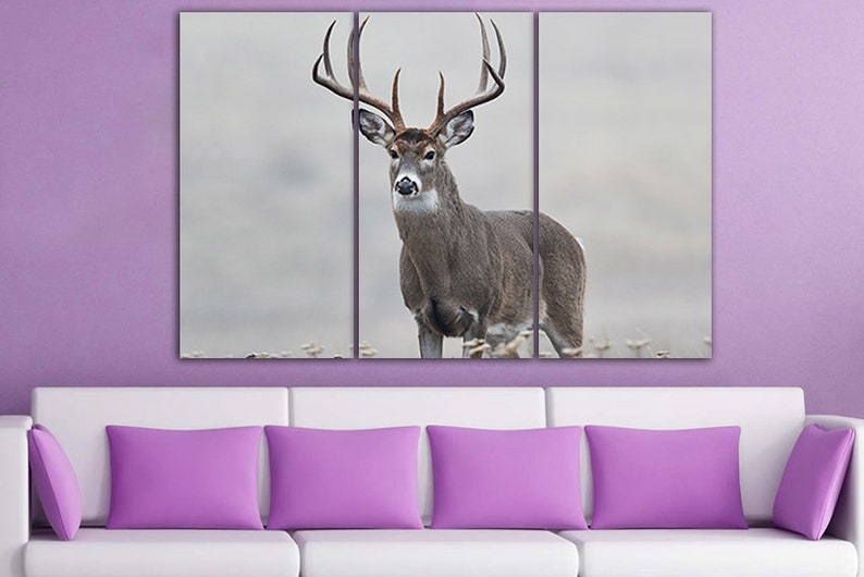 Stag Deer wall decor Stag print Animal decor Deer canvas Deer | Etsy