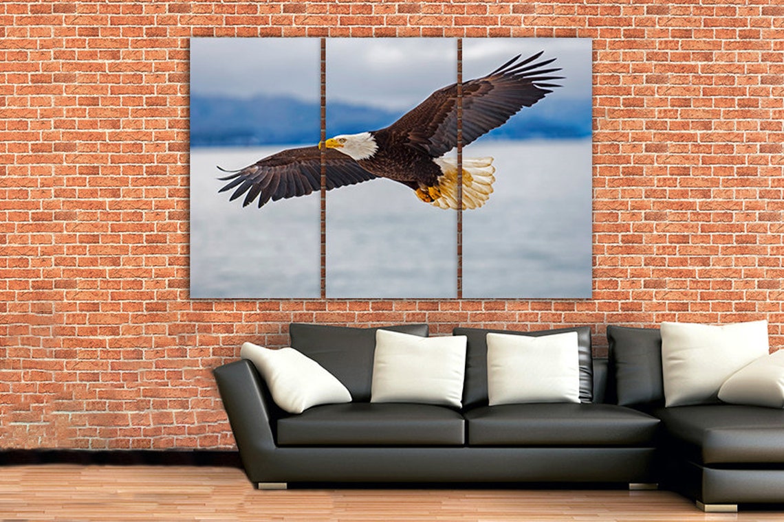Eagle Print Animal Decor Eagle Poster Eagle Canvas Eagle Photo - Etsy