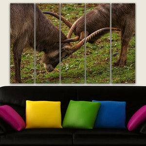 Wild Goat Art Print Goat Canvas Set Mountain Goat Animal Decor Animal ...