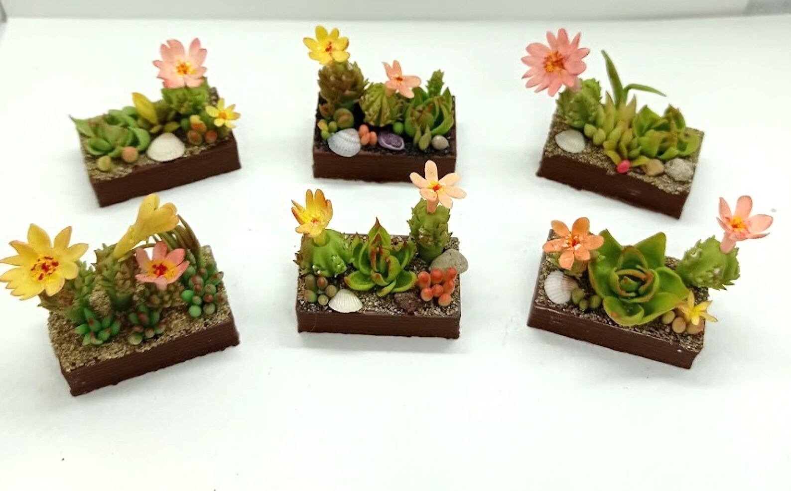 Miniature сomposition of Mini Succulents and Cactus. Plants - Etsy