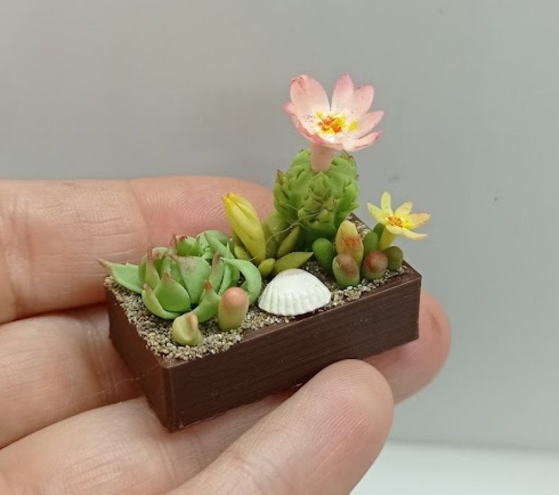 Miniature сomposition of Mini Succulents and Cactus. Plants - Etsy