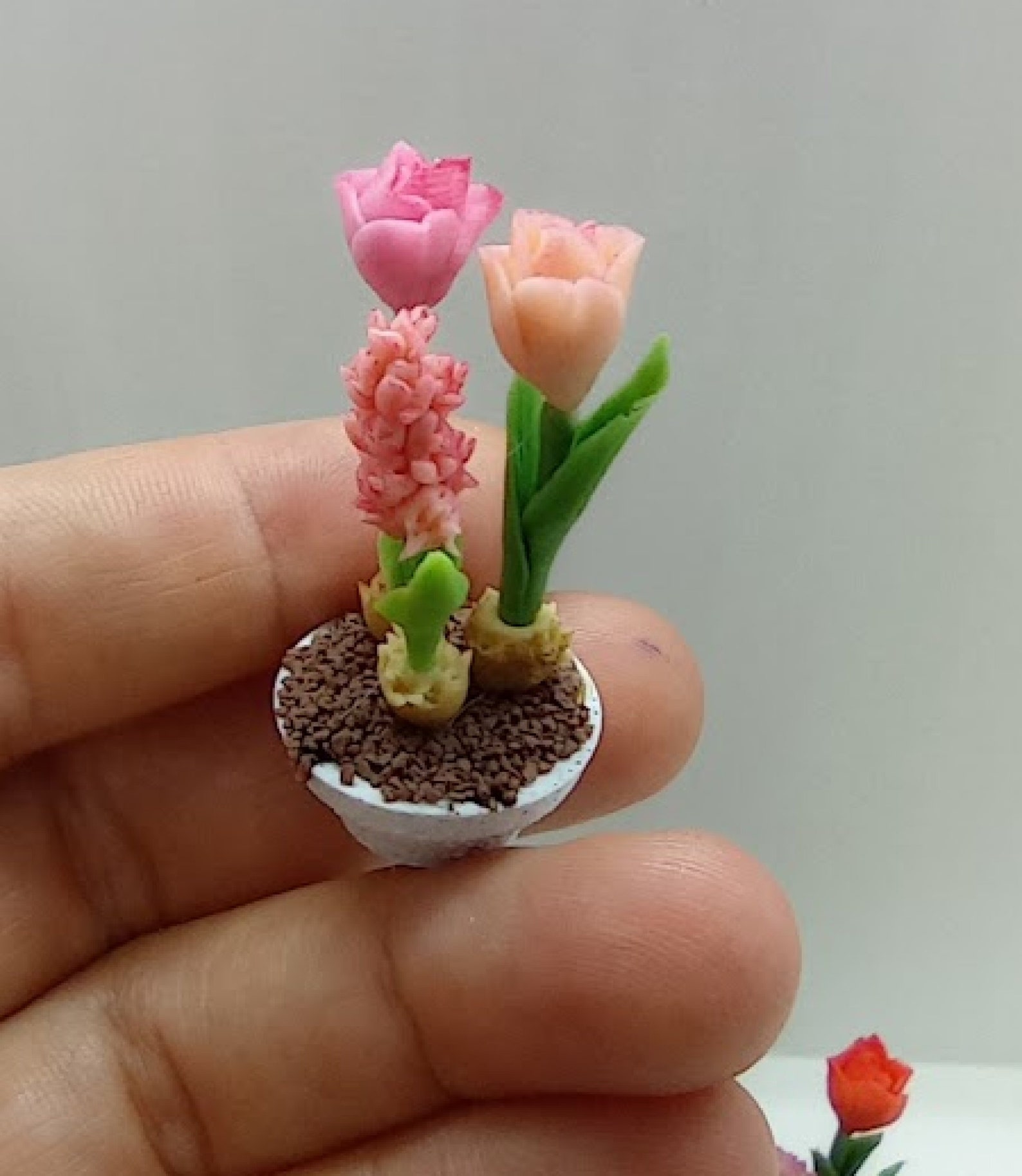 Miniature Flowers in the Plastic Round Pot. Tiny Tulip Hyacinths and ...