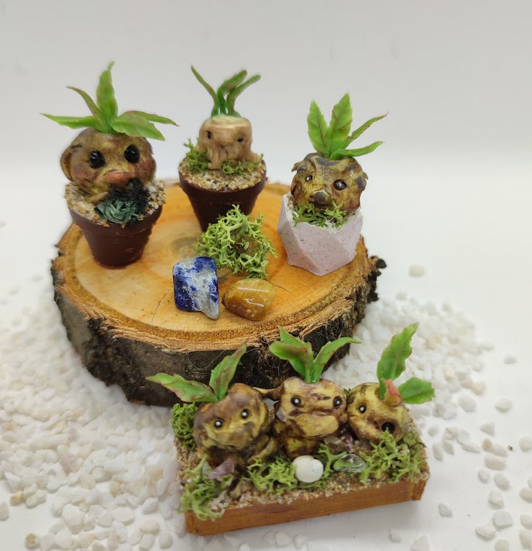 Miniature 1:12 Mandragora Plant in the Pot. Mandrake Root. Tiny Root of ...