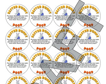 Easter Bunny Poop | Etsy