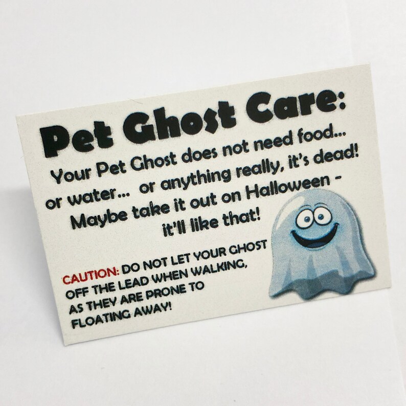 Pet Ghost Funny Novelty Gift Ideas Ideal for Birthday - Etsy UK