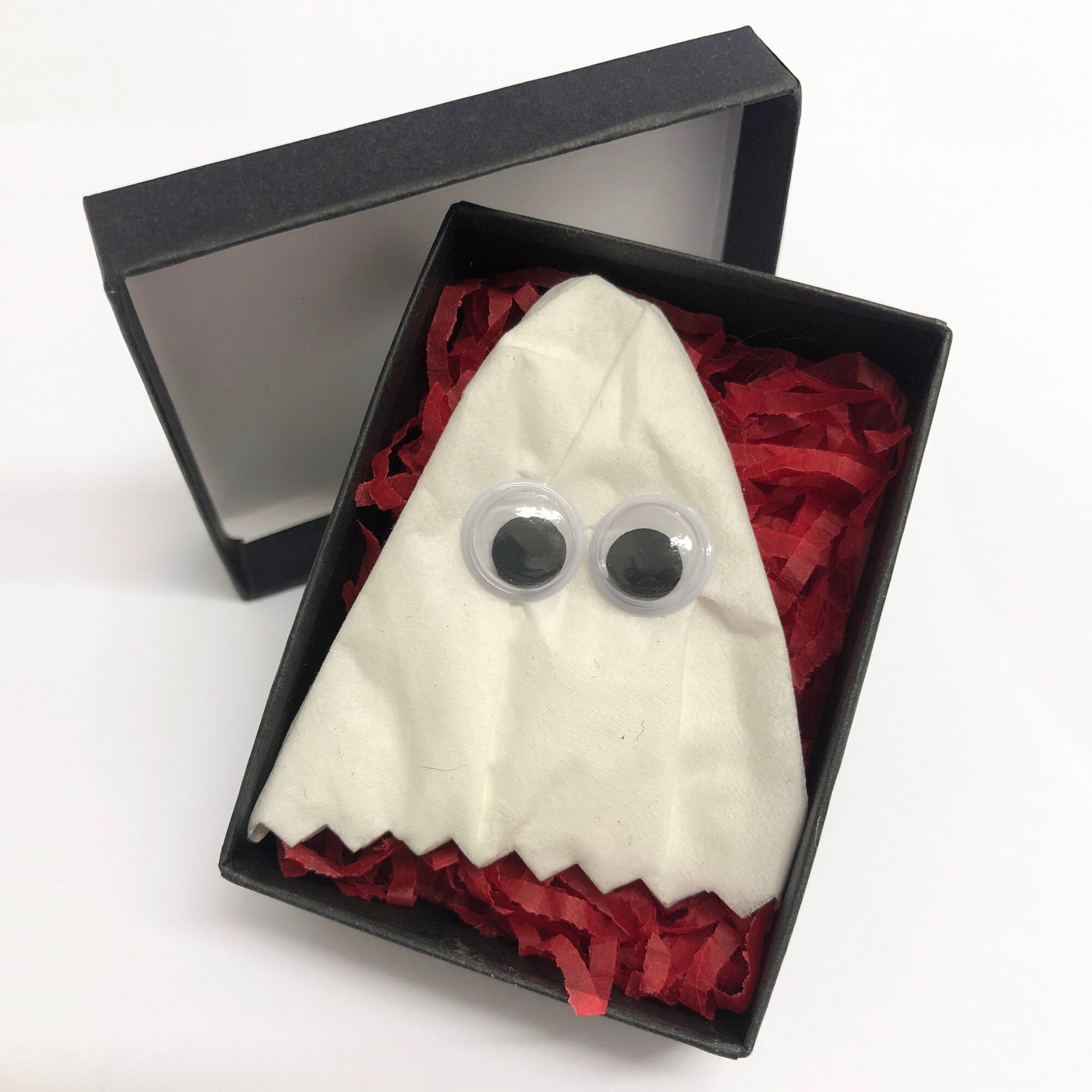 Pet Ghost Funny Novelty Gift Ideas Ideal for Birthday | Etsy UK