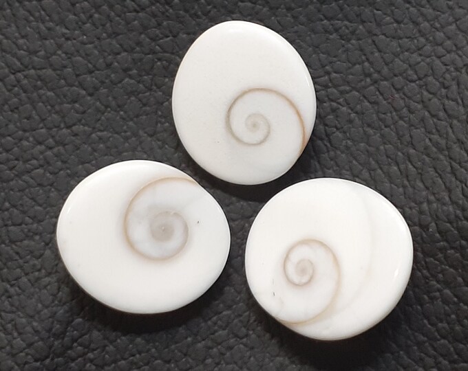 Natural Shiva Shell, 3 Pc Set Oval Shape Awesome A One Quality Cabochon ...