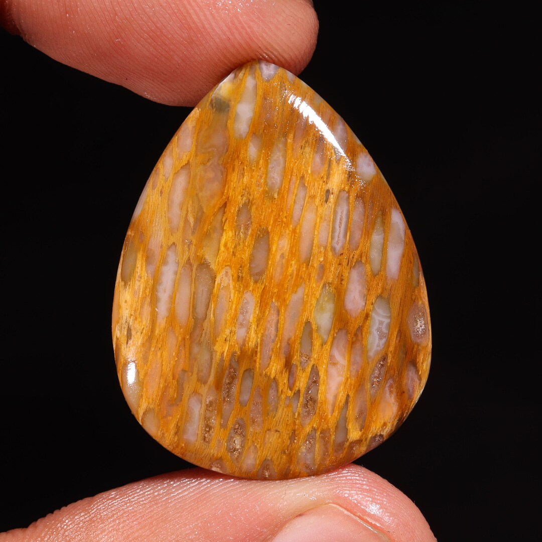 Classic Top Quality Natural Palm Root Agate Pear Shape Cabochon Loose ...