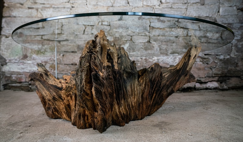 Designer Coffee Table - Root Wood, Oak, Glass Top, Stainless Steel ...