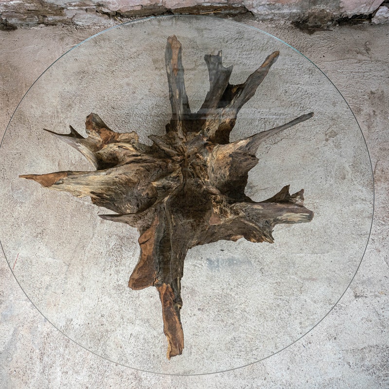 Wood Root Coffee Table - Etsy